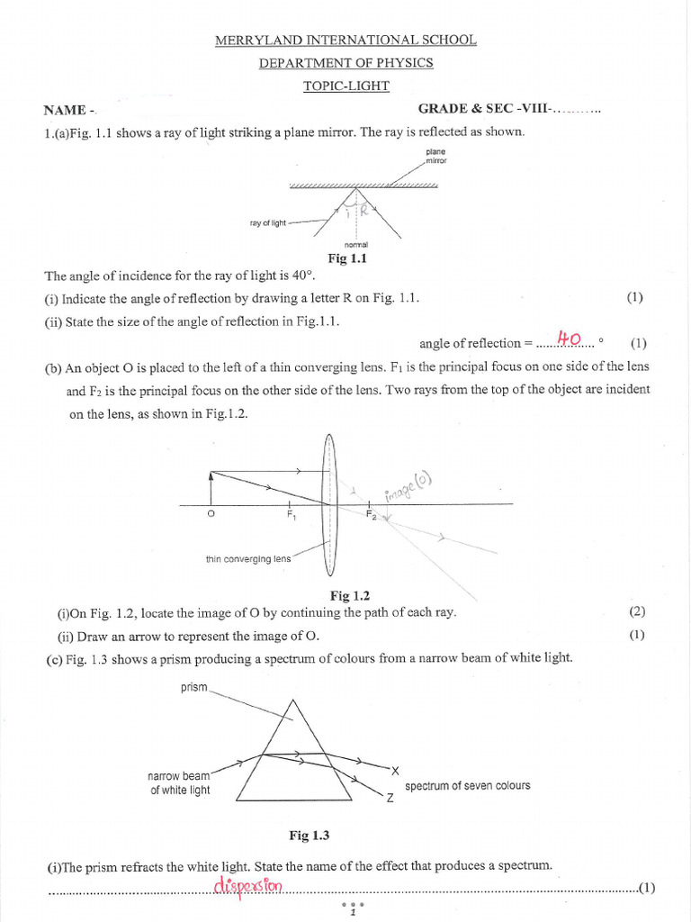 Lens Structured Worksheet Answerkey | PDF