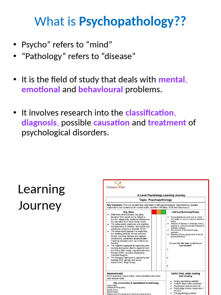Definitions of Abnormality Lesson 1 - Updated | PDF | Mental Disorder ...