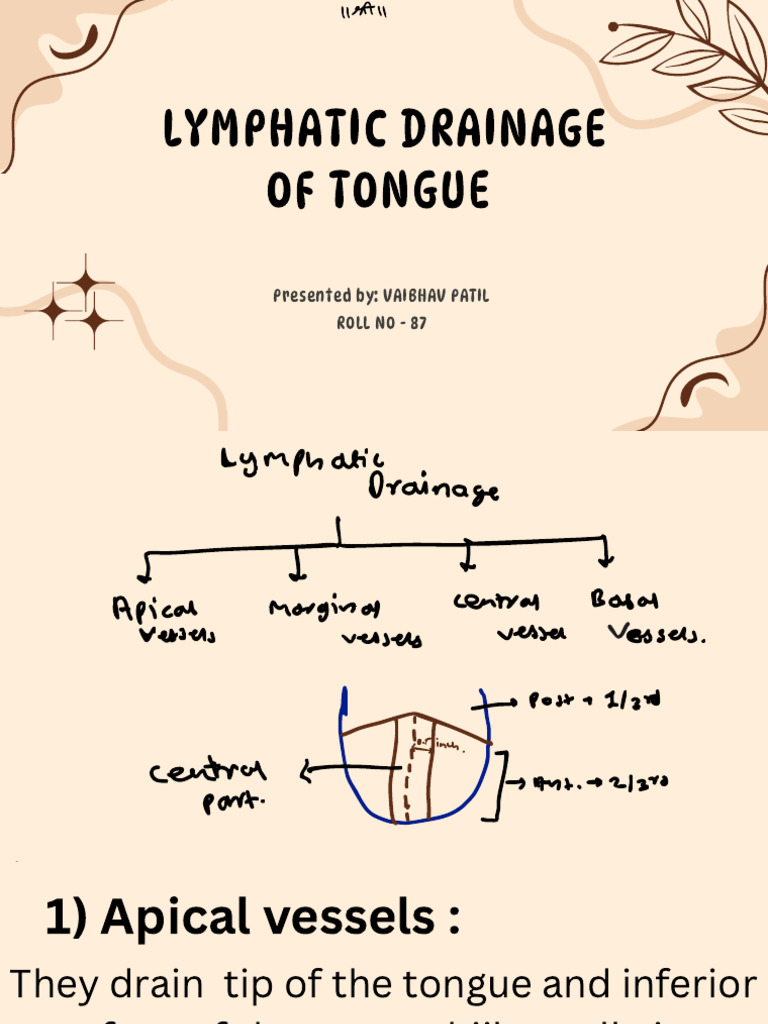 Lymphatic Drainage of Tongue - Mahi | PDF