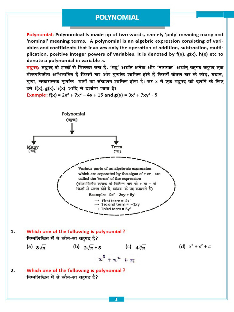 Complete Polynomial Notes | PDF