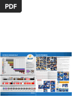 Regras e Faixas do Jiu-Jitsu IBJJF | PDF
