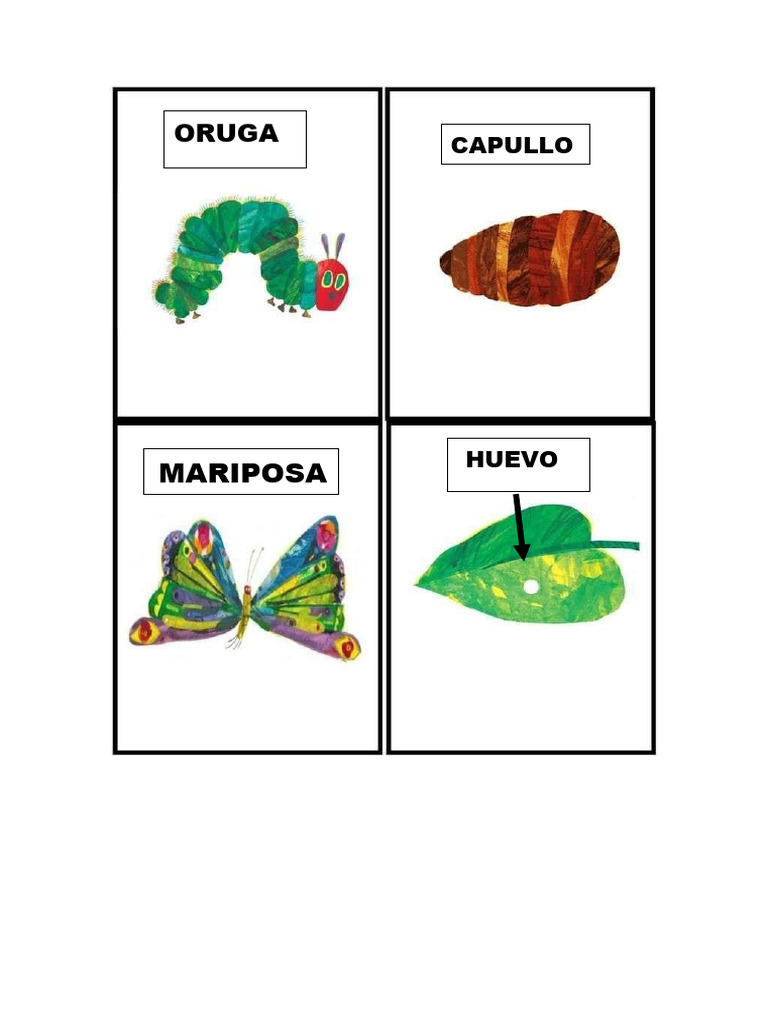 Actividad Del Cuento de La Mariposa | PDF