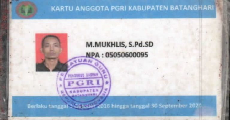 Npa Pgri Scan | PDF
