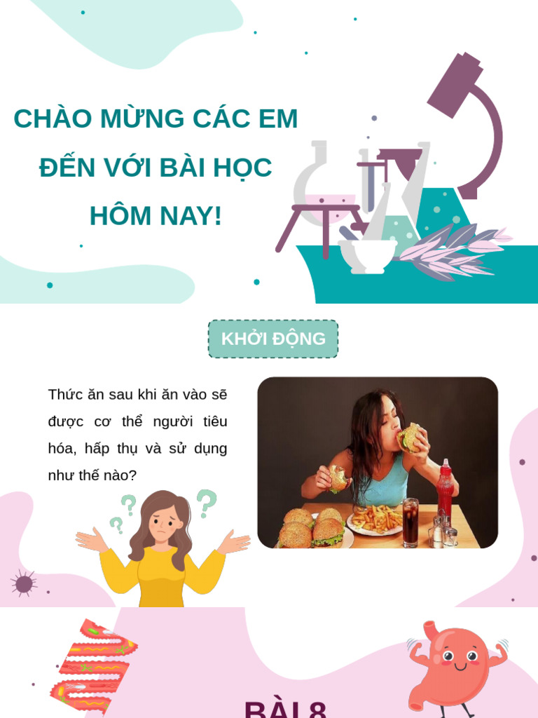 Kenhgiaovien b8 Tieu Hoa o Dong Vat | PDF