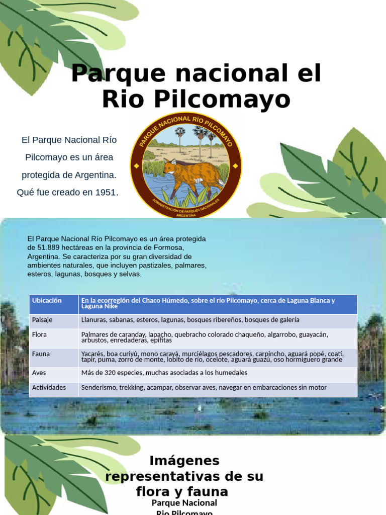 Parque Nacional Rio Pilcomayo | PDF
