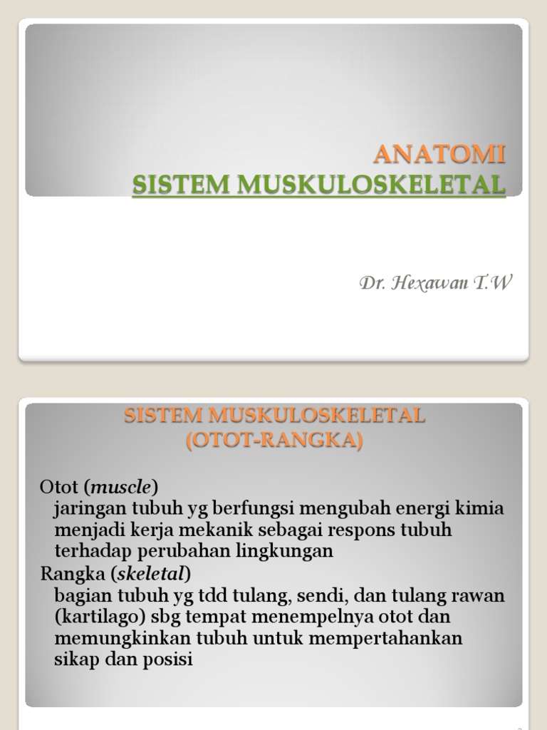 Anatomi Muskuloskeletal 1 | PDF