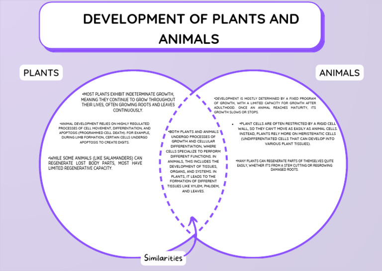 Purple Compare and Contrast Venn Diagram Graphic Organizer | PDF ...