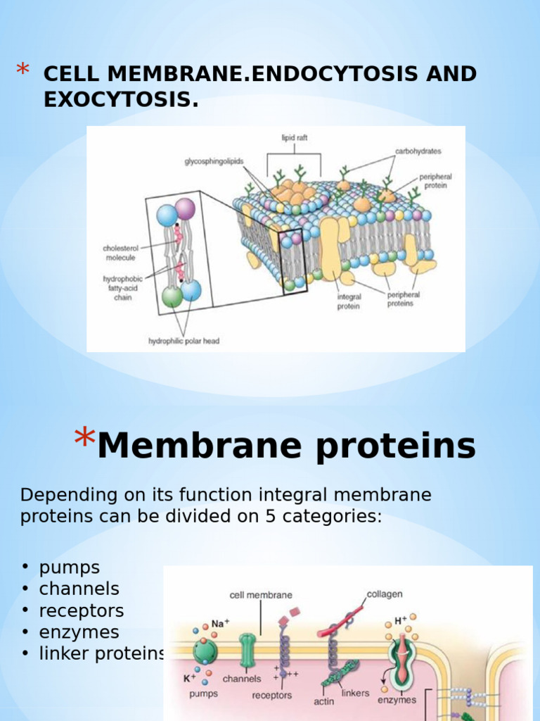 Lecture 2 Cell Membrane | PDF | Cell Signaling | Cell Membrane