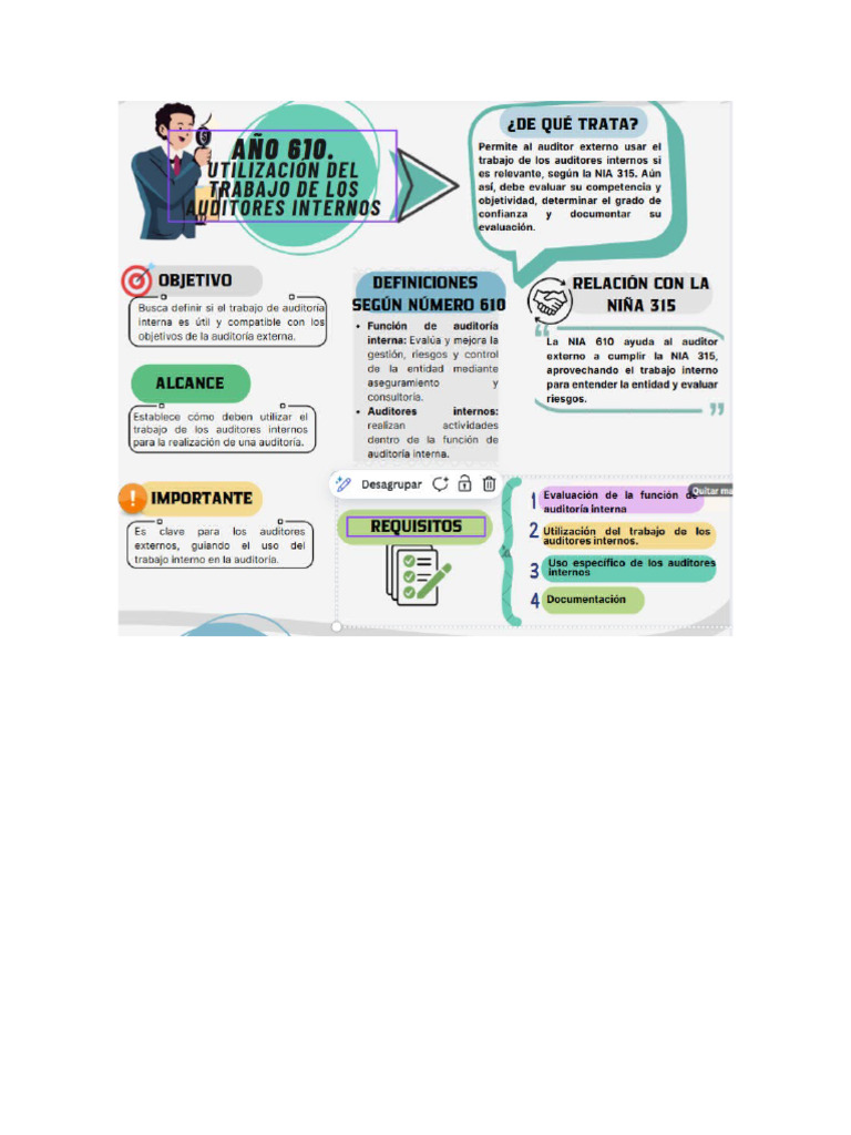 Funciones y Objetivos del Auditor Externo | PDF | Auditoría | Contralor