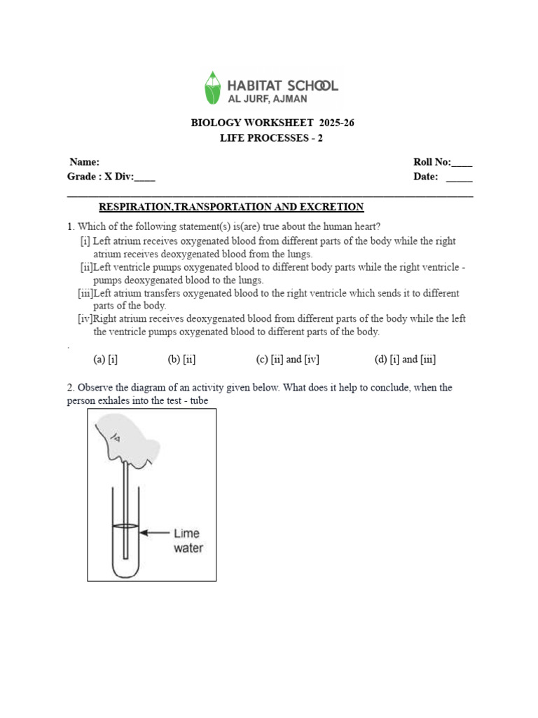 Life Processes Worksheet - No - 2 - 2025-26 | PDF | Blood | Ventricle ...