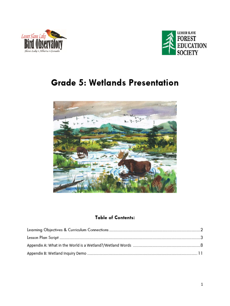 Gr.5 Wetlands Lesson Plan Final | PDF | Wetland | Marsh