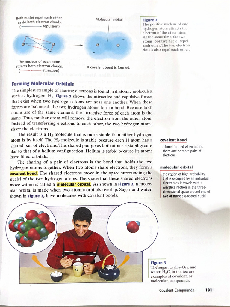 Both Nuclei Repel Each Other | PDF