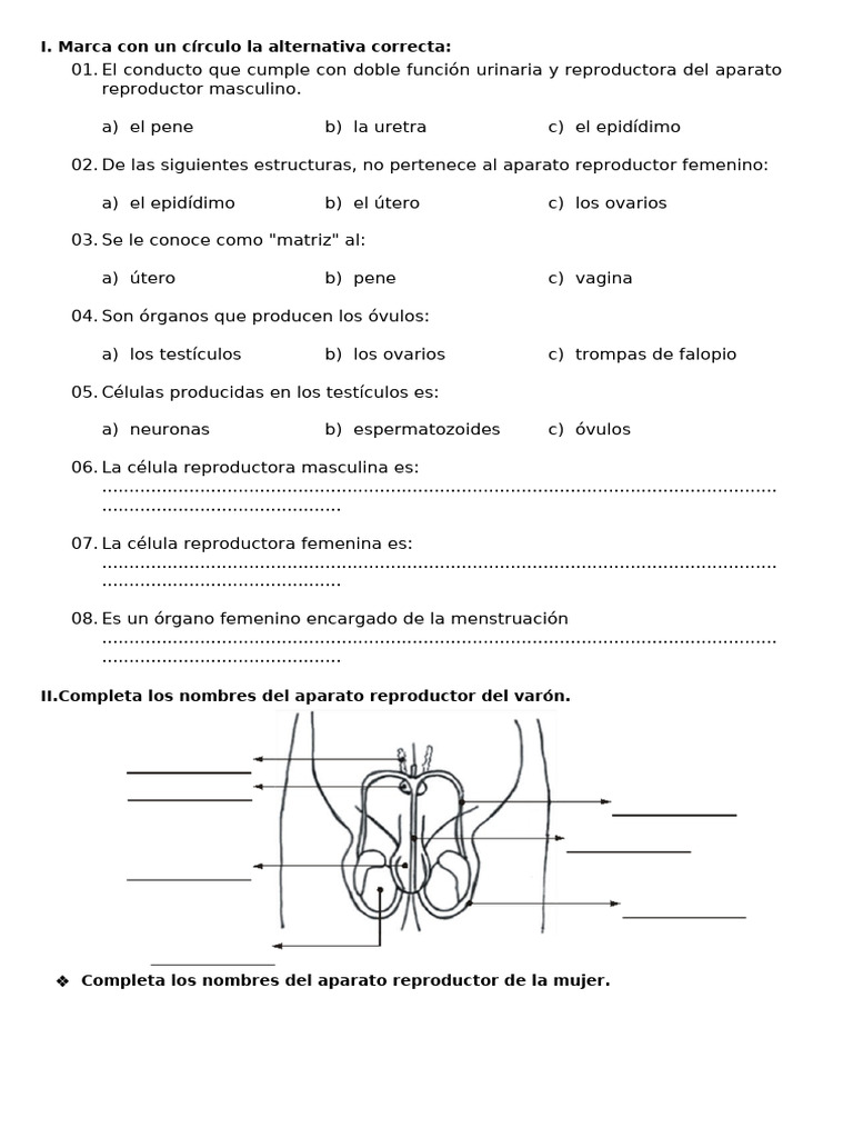 FICHA-MART-CYT-CONOCEMOS LA FUNCIÓN REPRODUCTORA | PDF | Sistema ...