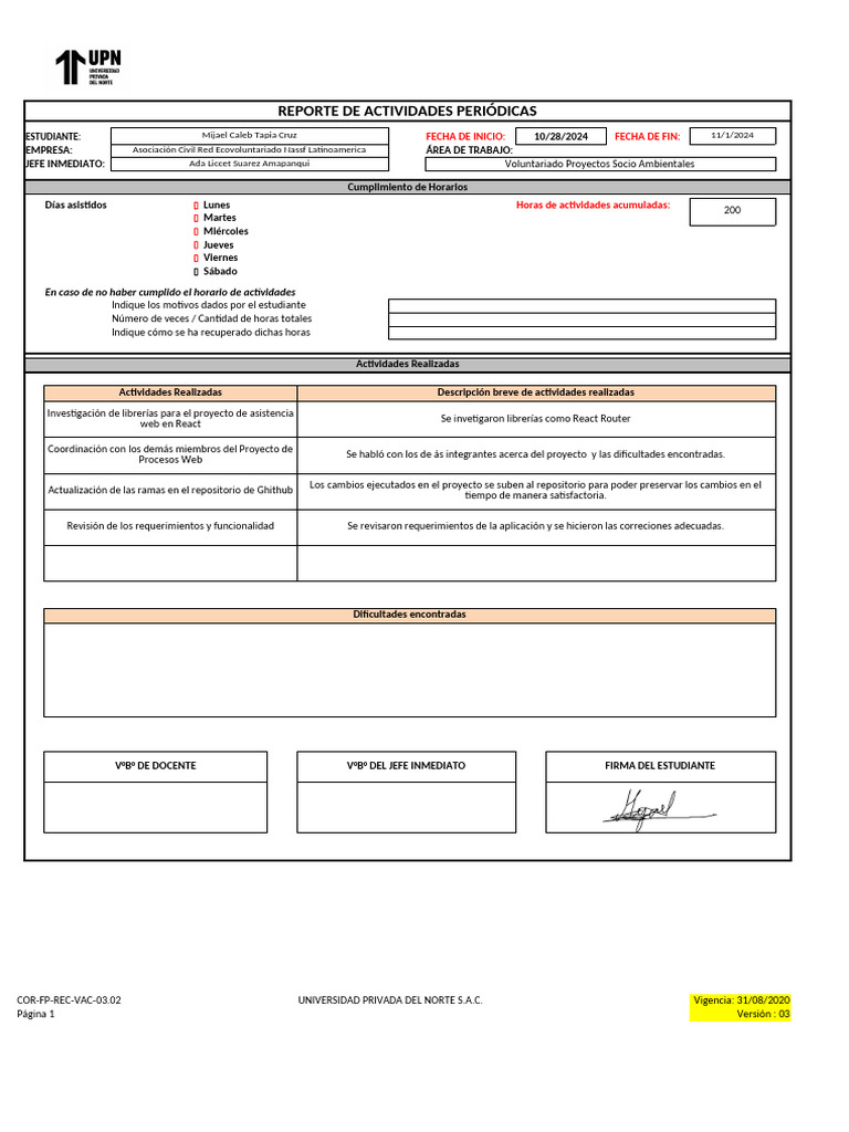 3. Formato RAP's | PDF