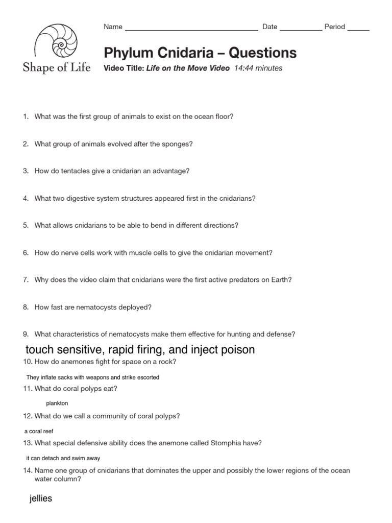 Cnidaria: Key Concepts and Questions | PDF | Coral | Venomous Animals