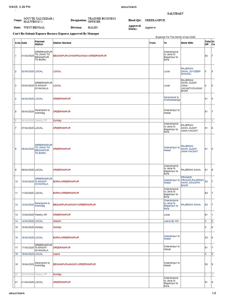 Souvik Expense | PDF