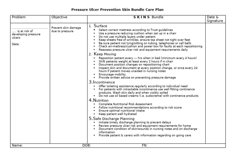 Pressure Ulcer Prevention Skin Bundle Care Plan 1000 Lives Version ...