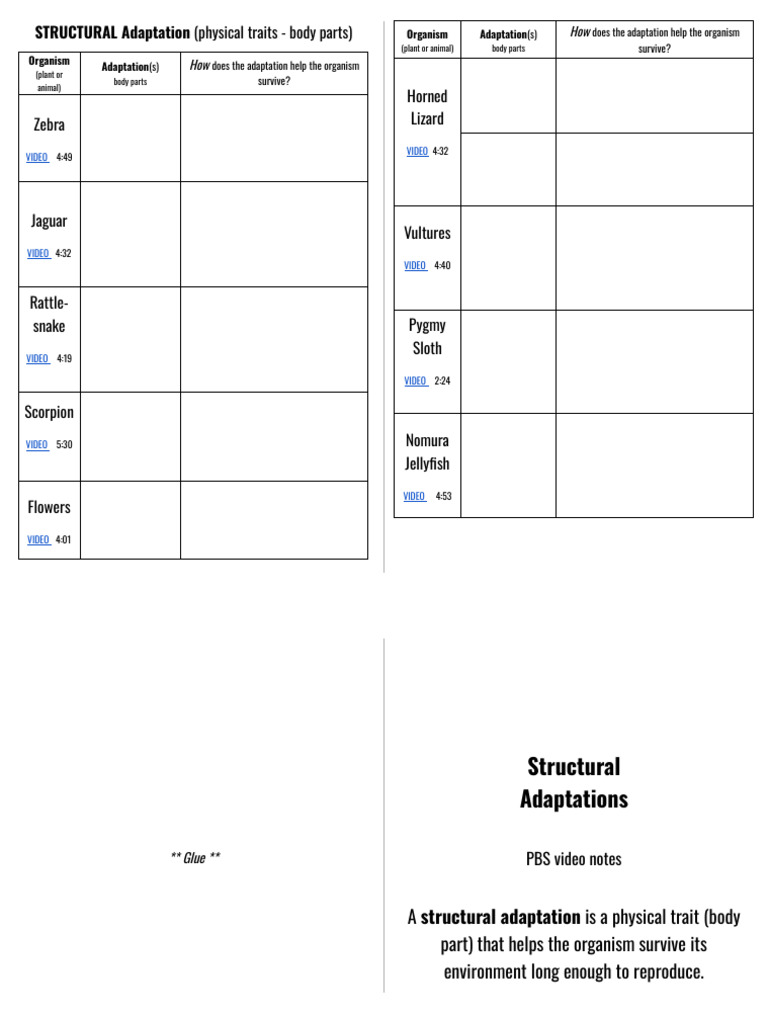 Structural Adaptation Booklet PBS Videos 2022 | PDF