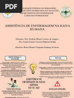 Ficha Antirrabica Preenchivel 27112020 | PDF | Raiva | Sistema de saúde