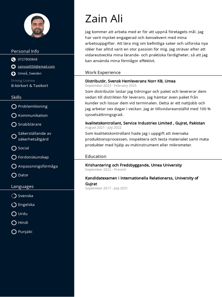 CV - Zain Ali | PDF