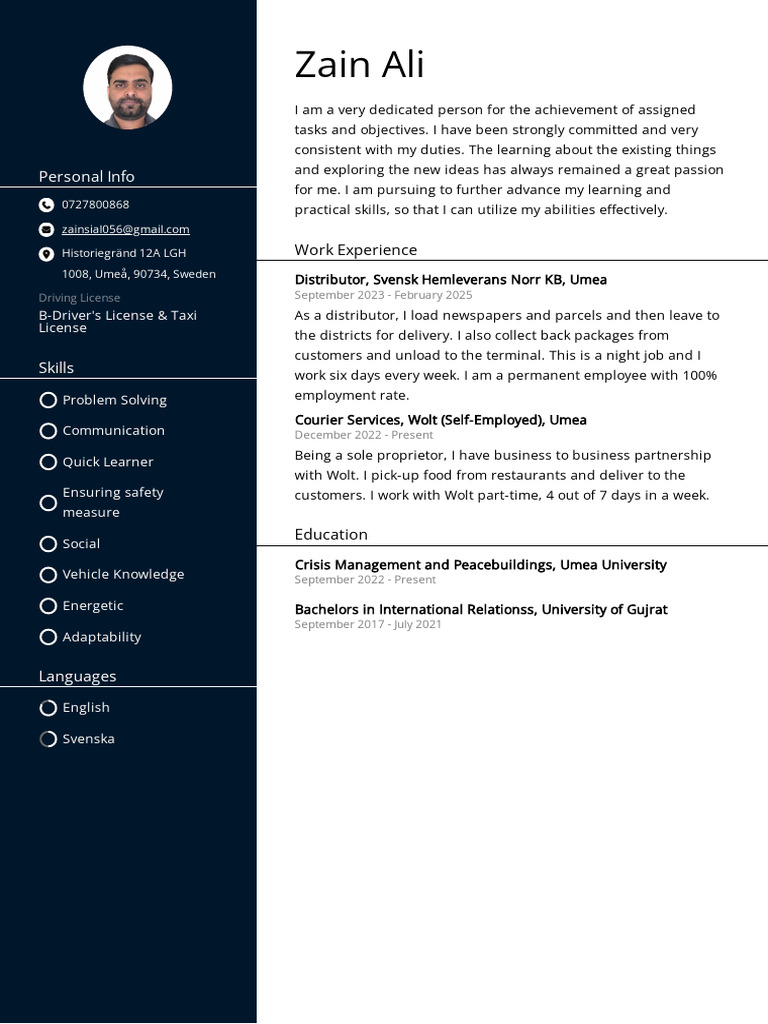 CV - Zain Ali 2 | PDF