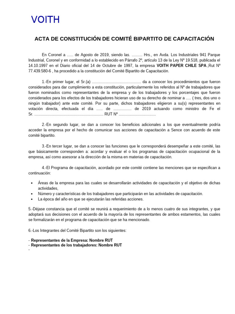 Acta de Constitucion Comité Bipartito | PDF | Gobierno