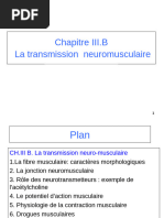 Les Curares | PDF | Acétylcholine | Synapse