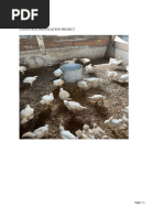 Agricultural Science Broiler Production Sba Sample | PDF | Wellness