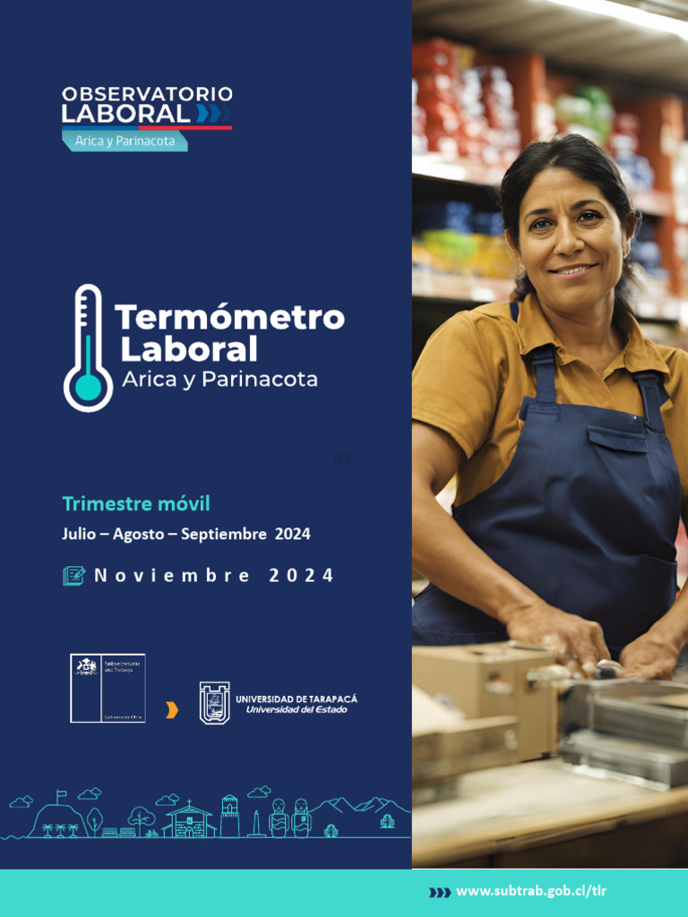 Termometro Laboral Region de Arica ParinacotaJAS2024 | PDF | Economias