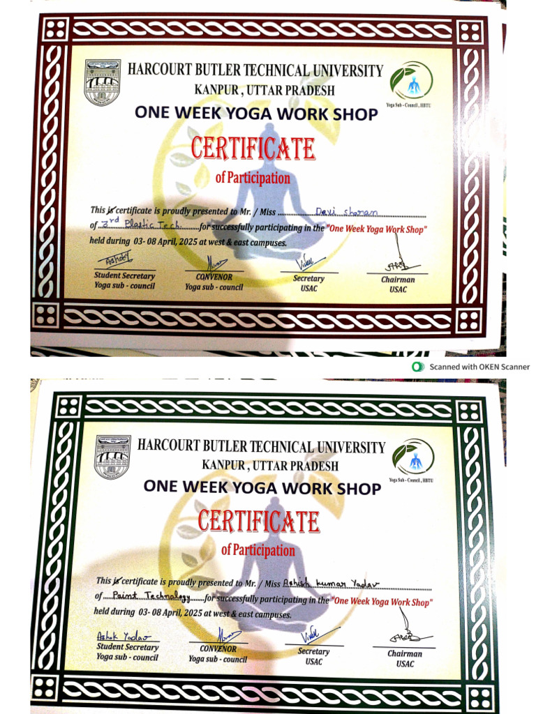 Workshop Certificate 2025 | PDF