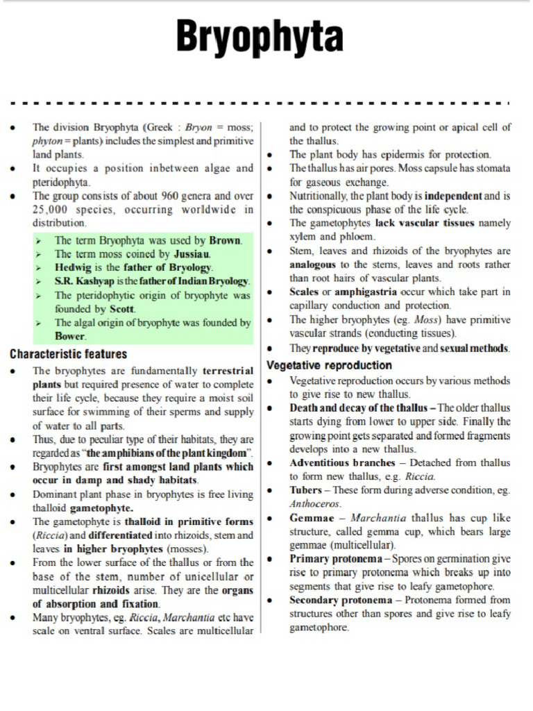Bryophyta | PDF