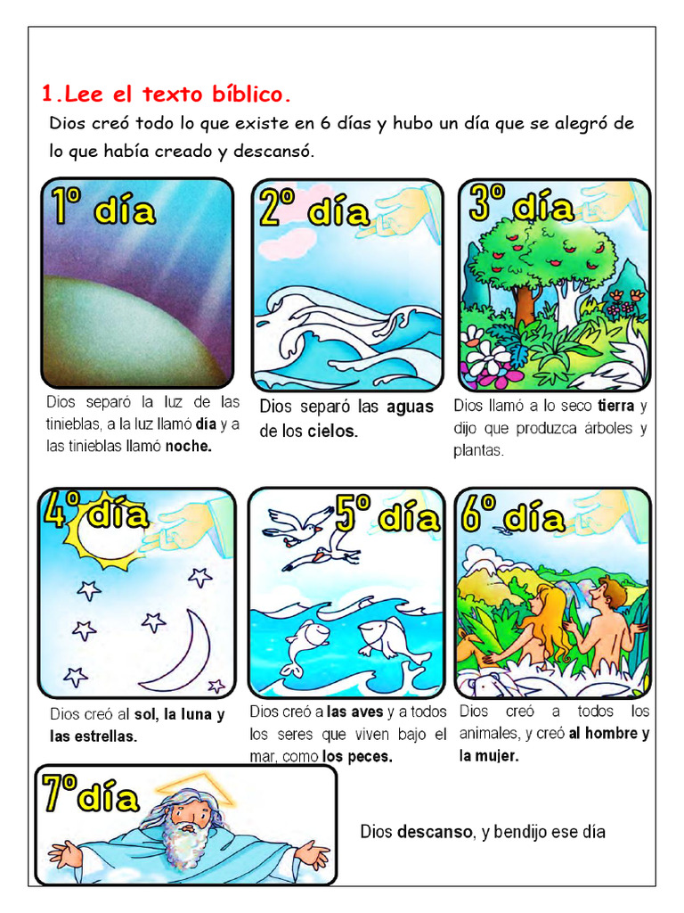 La creación de Dios en 7 días | PDF