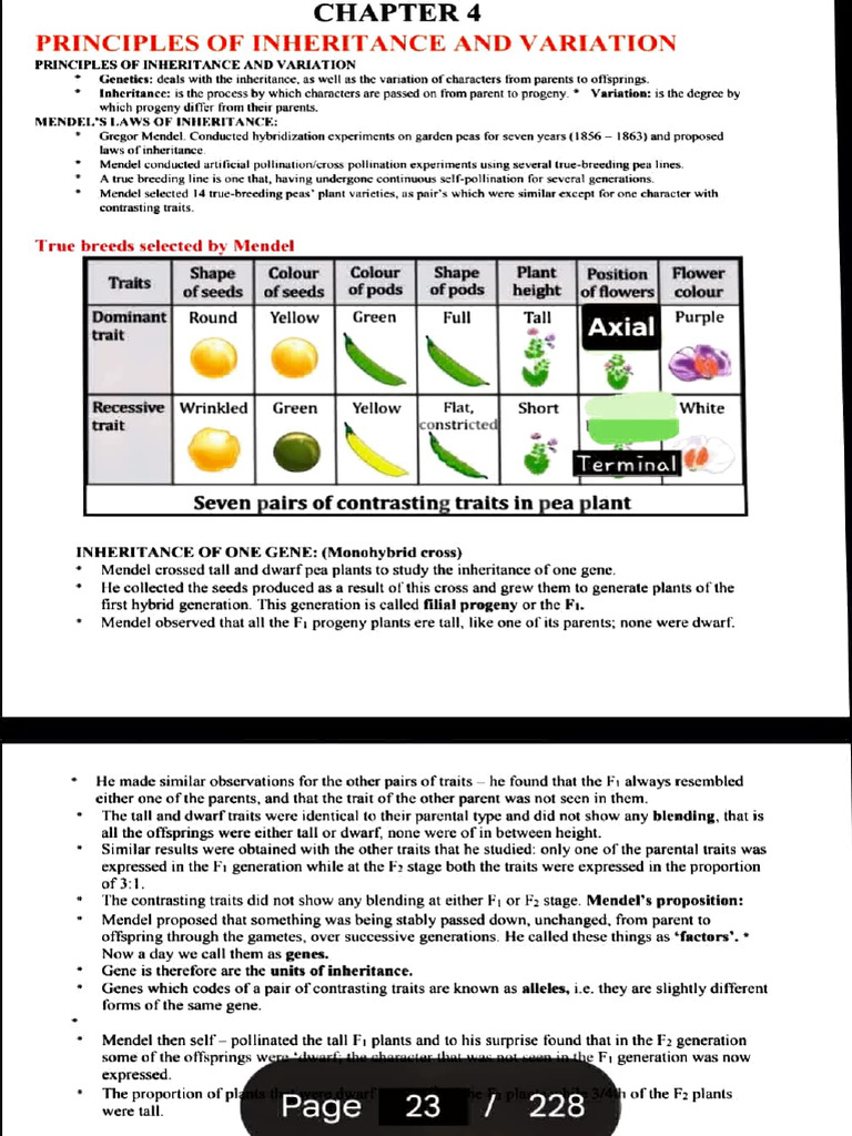 Mendel's Laws of Inheritance Explained | PDF | Dominance (Genetics ...