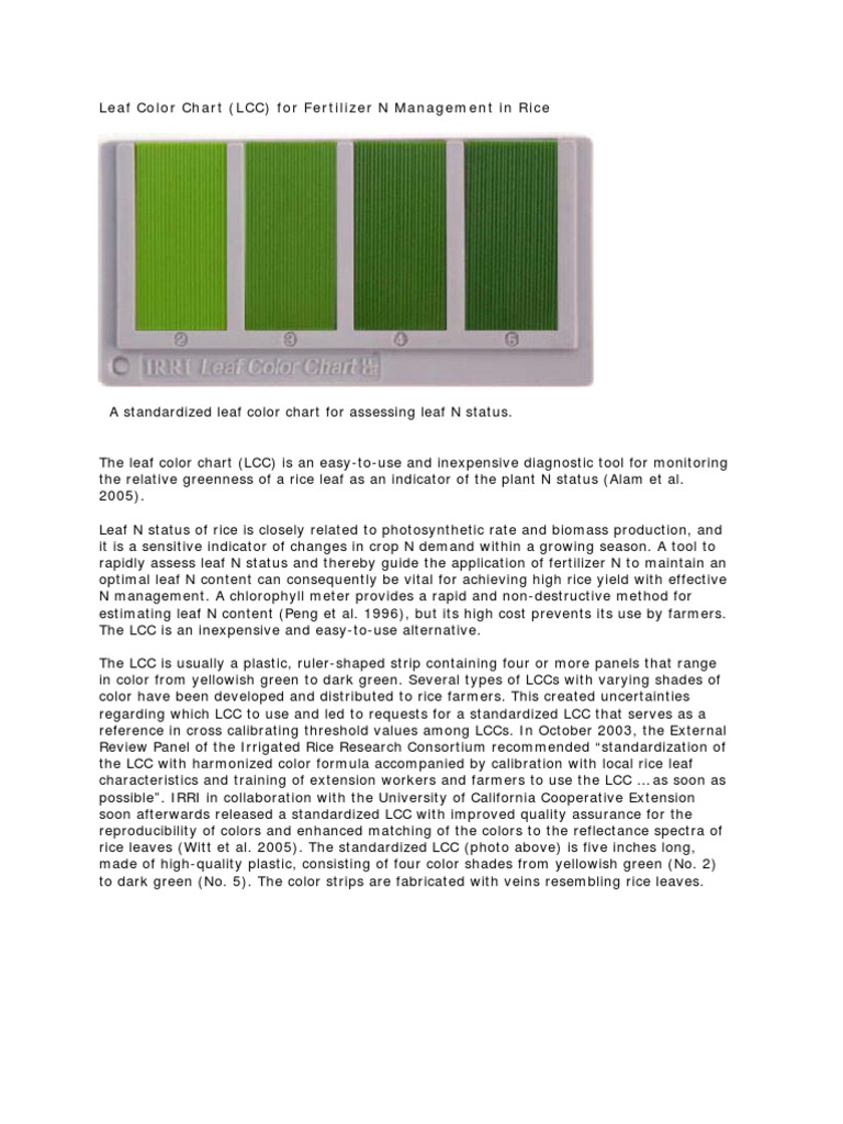 Standardized Leaf Color Chart for Rice | PDF | International Rice ...