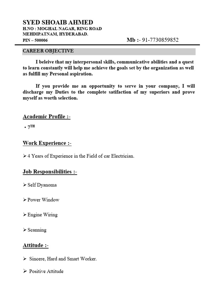 Syed Shoaib Ahmed Job CV | PDF