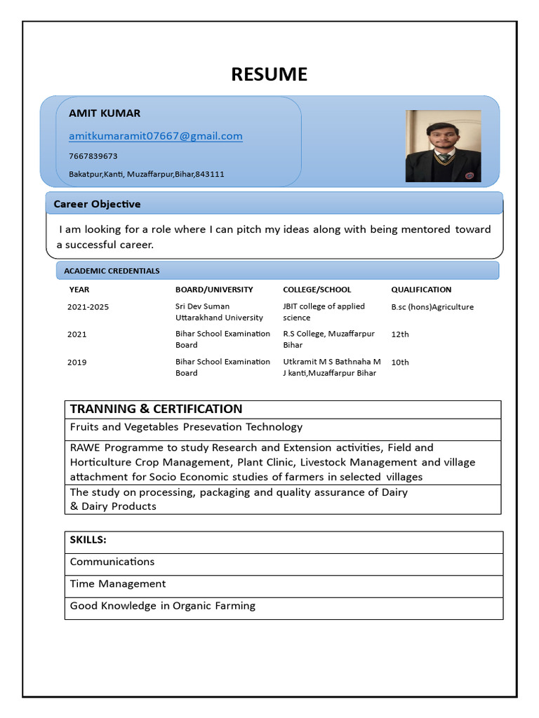Amit RESUME | PDF