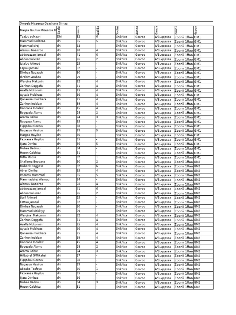Orneela Miseensa Gaachana Sirnaa Waj Milishaa Aanaa Gooroo | PDF