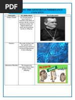 2C.2 Patterns of Inheritance | PDF | Dominance (Genetics) | Zygosity