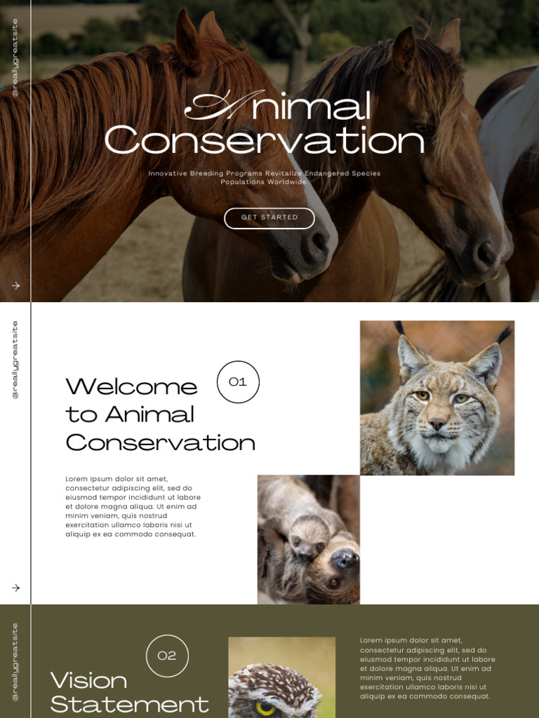 Animal Conservation Presentation | PDF