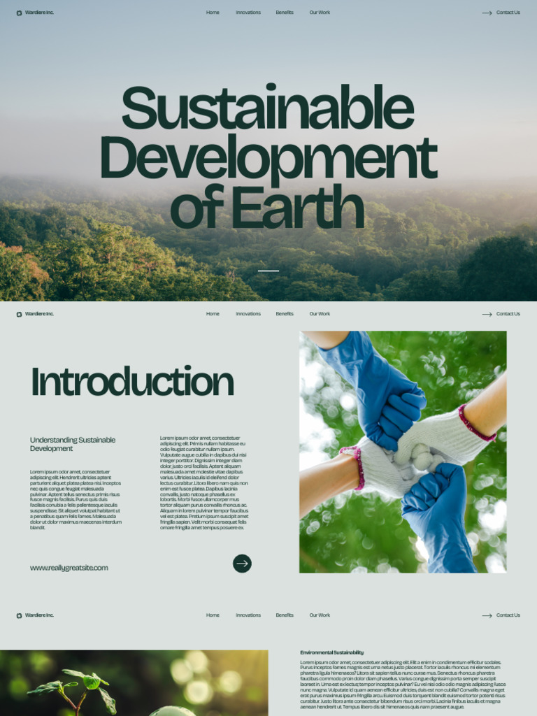 Sustainable Development Presentation | PDF