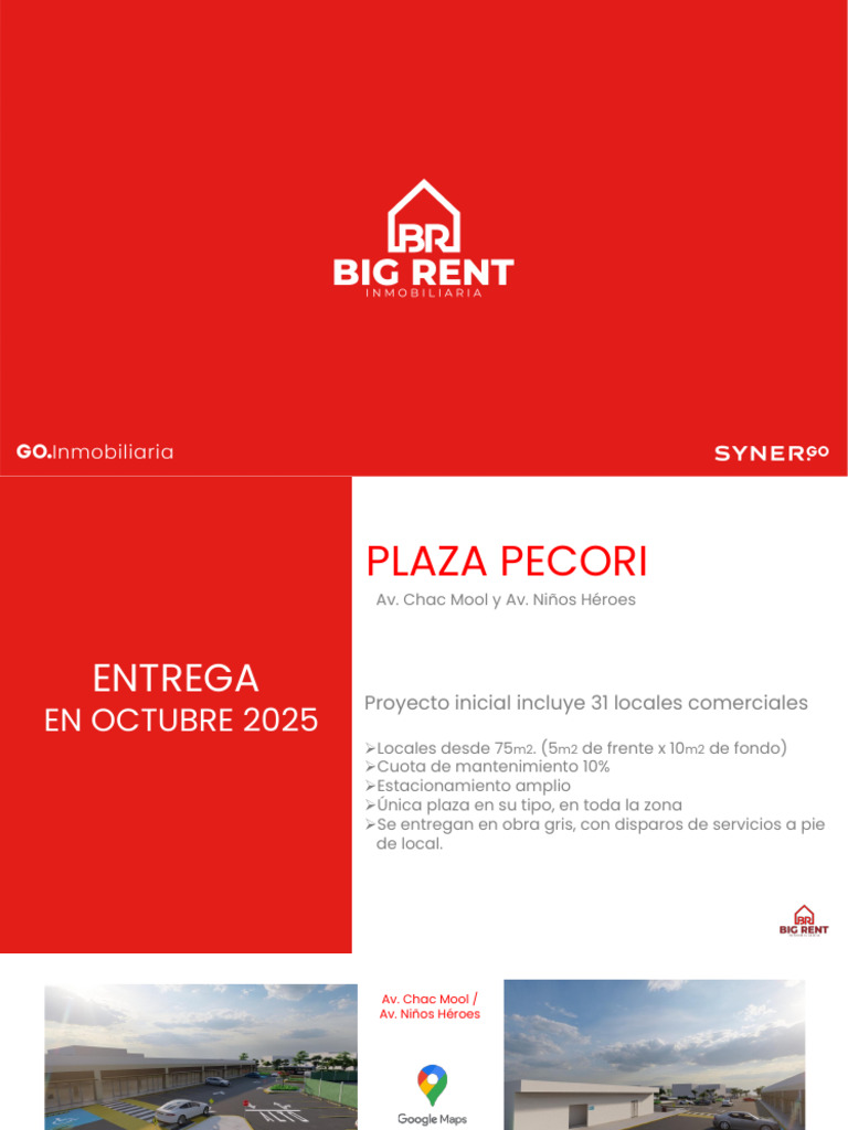 Palza | PDF