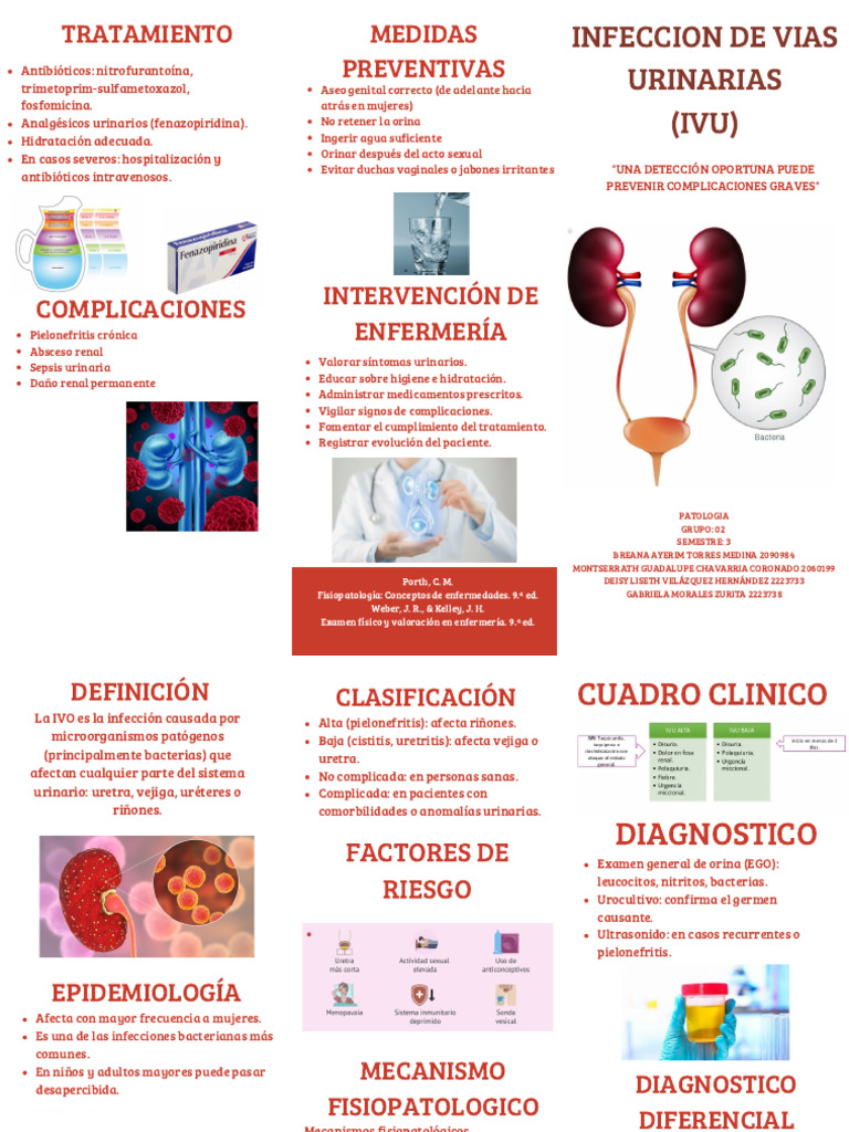 Triptico Ivu | PDF | Infección del tracto urinario | Urología