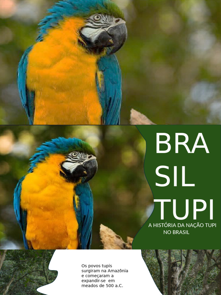 História e Cultura da Nação Tupi | PDF | Brasil | Vermelho