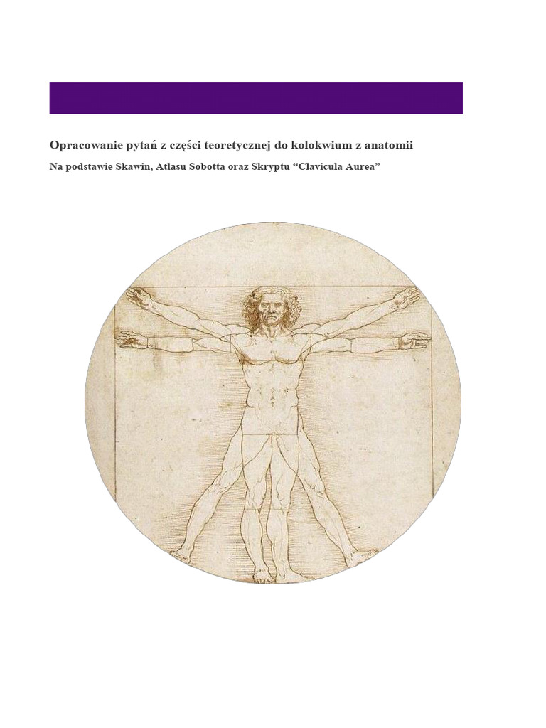 Vitruvius 3.1.25 | PDF