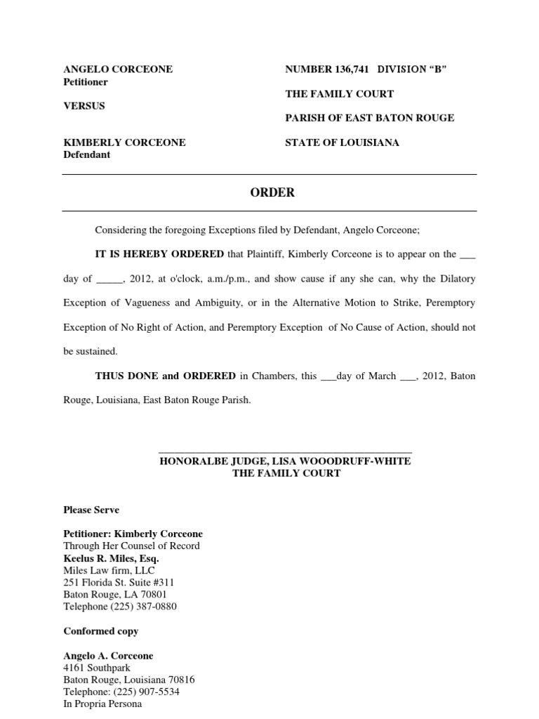 Family Court Order: Corceone Case | PDF