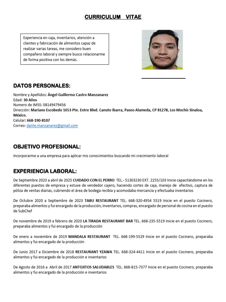 CURRICULUM VITAE ANGEL GMO CASTRO | PDF | Informática