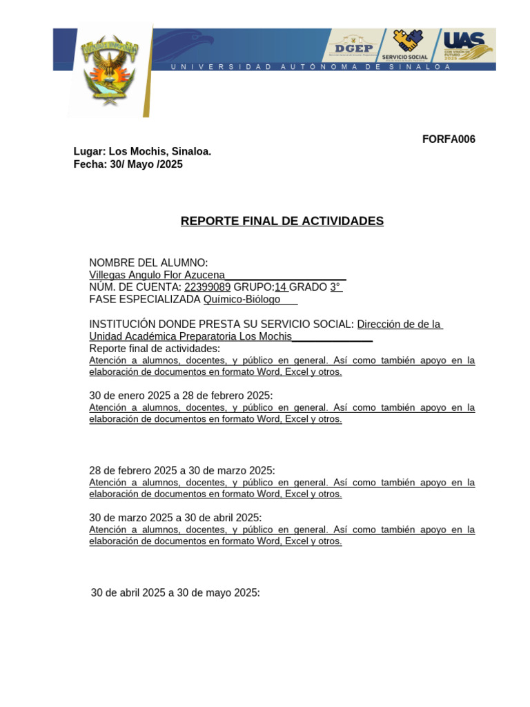 Ejemplo Reporte Final | PDF