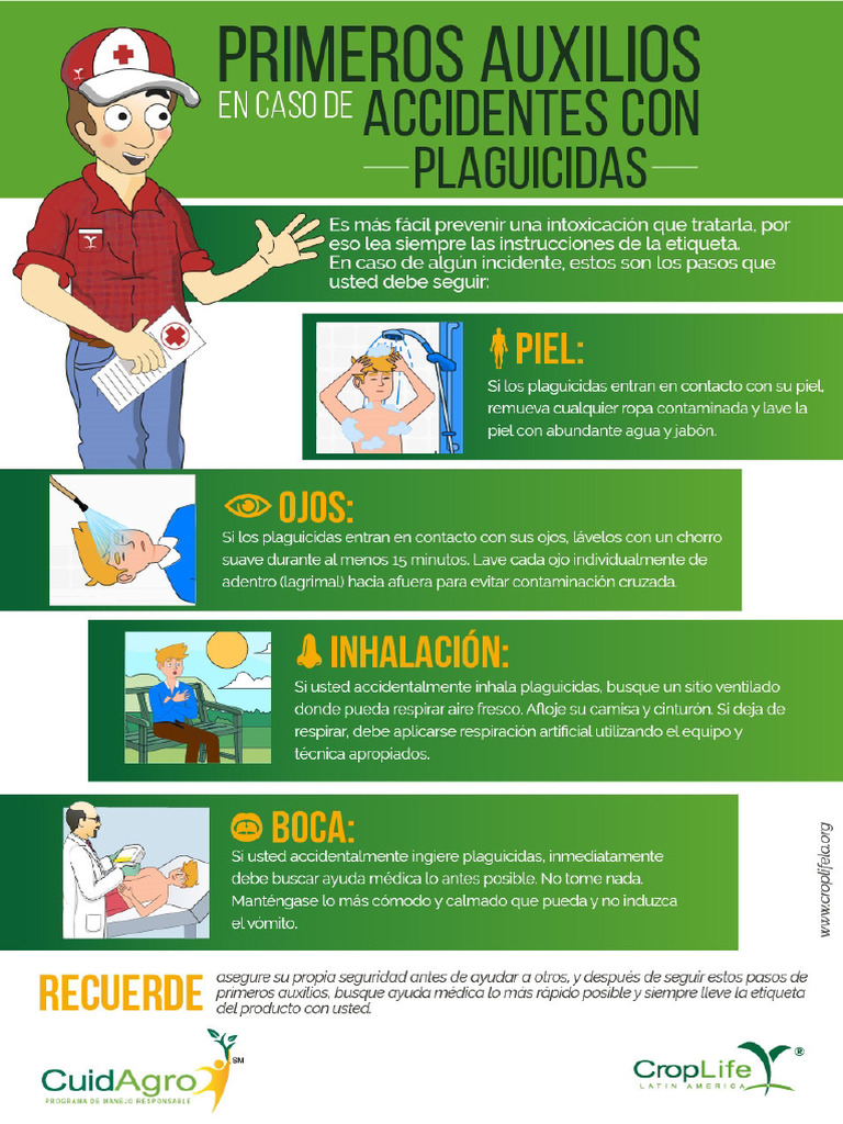 Infografia Afiche Primeros Auxilios (1) | PDF