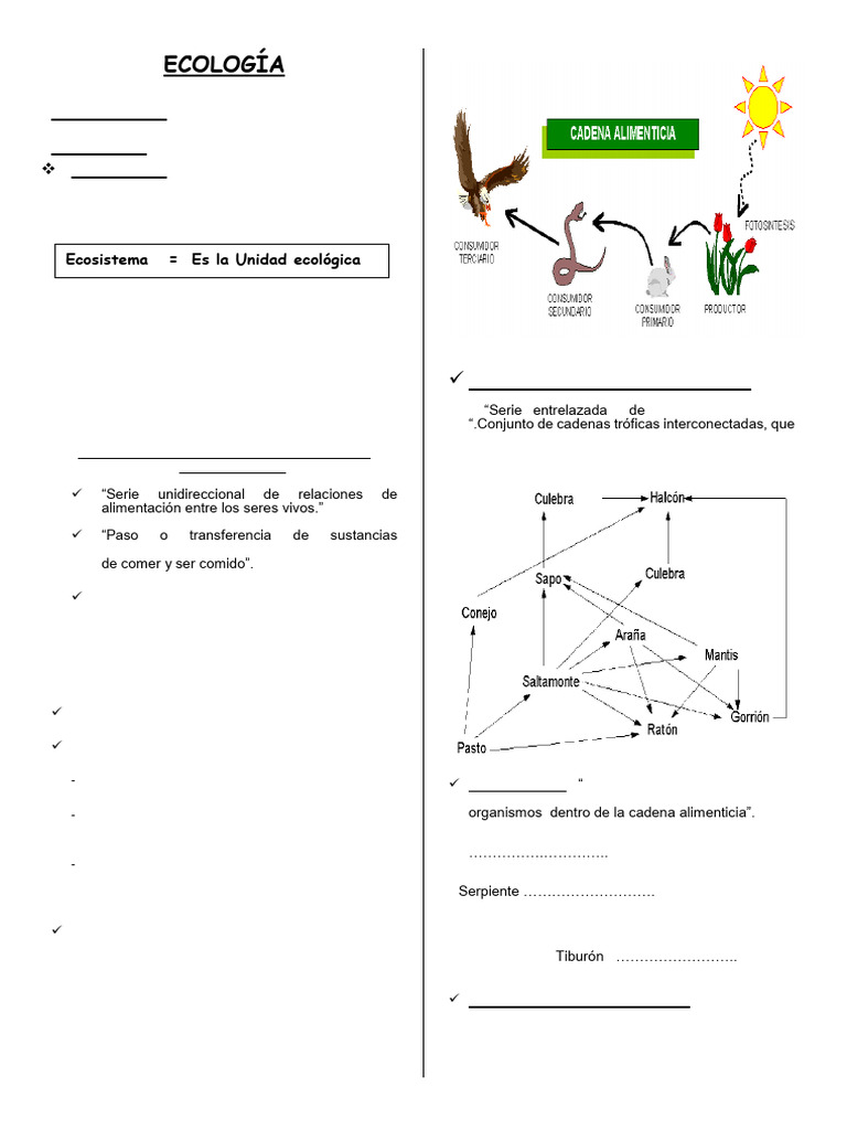 Ecosistemas y sus componentes clave | PDF | Ecología | Agua
