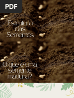 Morfologia das Sementes e Estruturas | PDF | Semente | Biologia